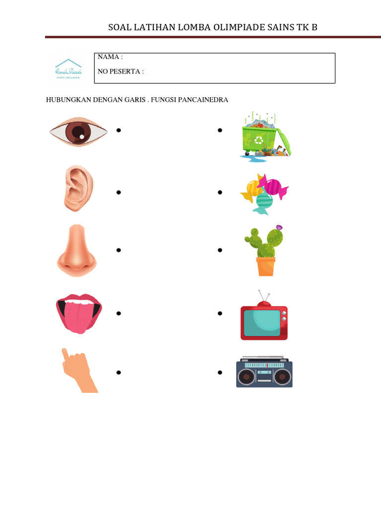 TK B SAINS -LATIHAN | PDF
