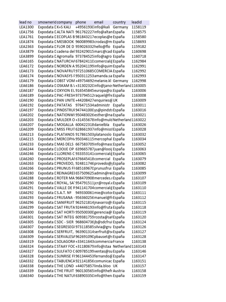 Leads List Export | PDF