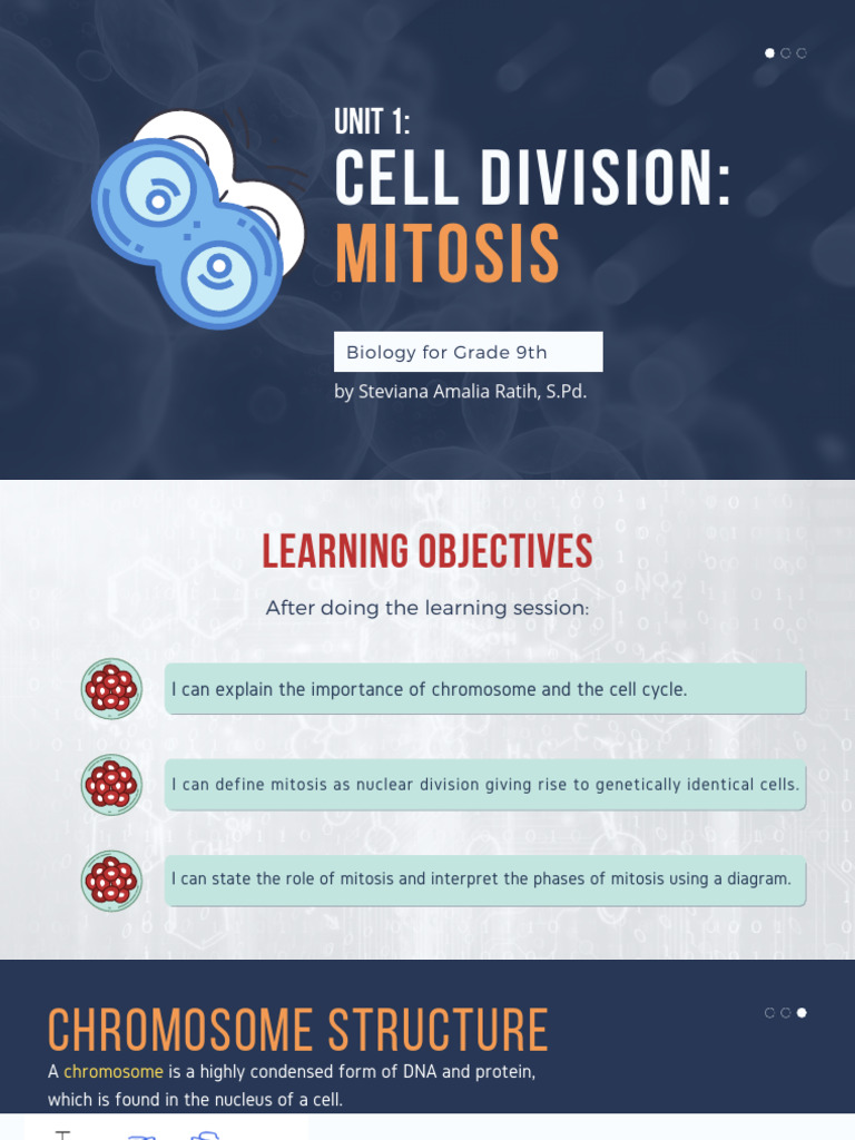 (Unit 1) Cell Division - Mitosis | PDF