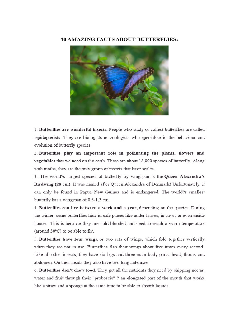 10 Amazing Butterfly Facts | PDF | Butterfly | Pupa