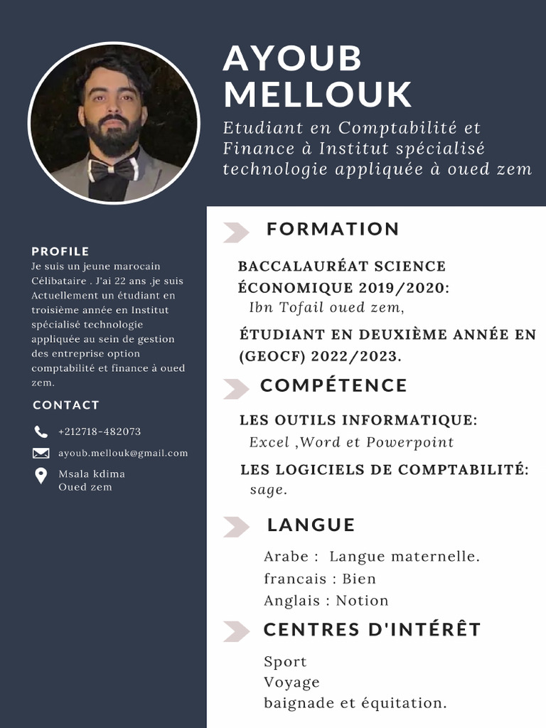 Blue Light Blue Color Blocks Flight Attendant CV | PDF