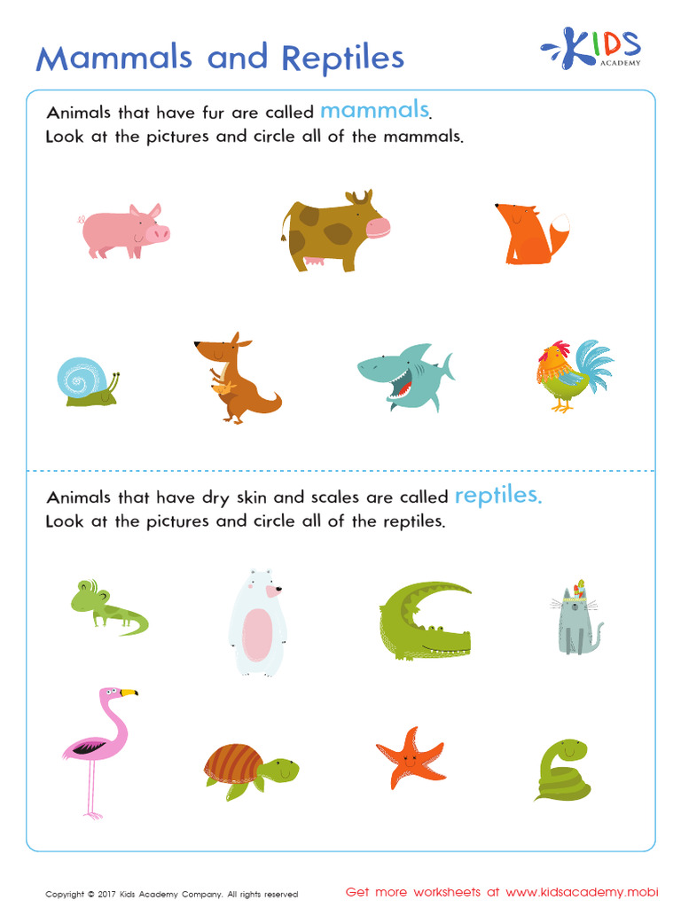 Kindergarten Mammals and Reptiles Worksheet | PDF