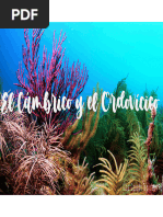 30 Palabras Indígenas de México y Su Significado | PDF | Lengua ...