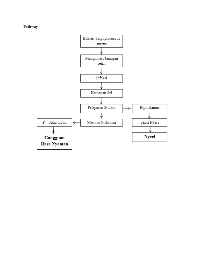 Pathway Mandibula | PDF