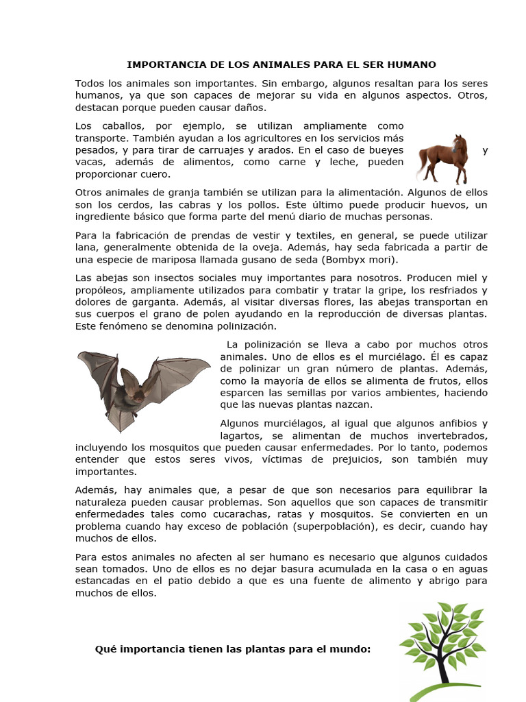 Importancia de Los Animales para El Ser Humano | PDF | Plantas | Alimentos