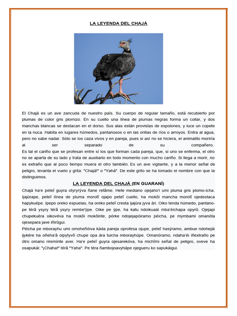 La Leyenda Del Chajá | PDF