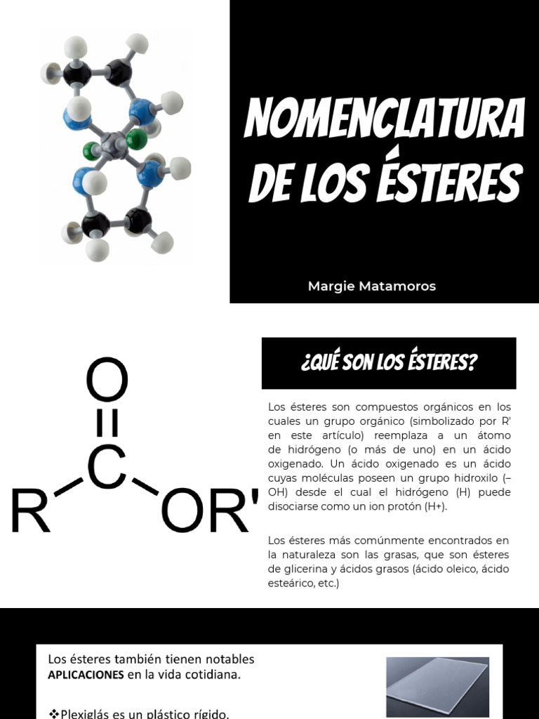 Wepik La Nomenclatura de Los Esteres 20230918130934Xws3 | PDF