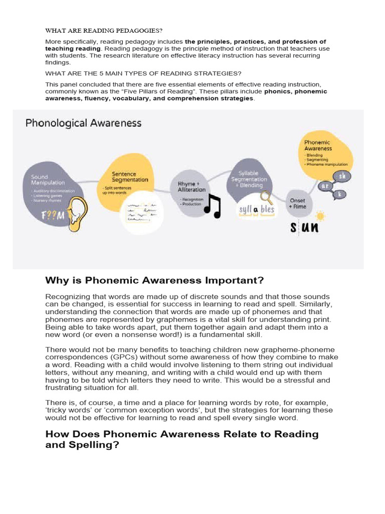 Effective Reading Pedagogies Explained | PDF | Dyslexia | Reading Comprehension