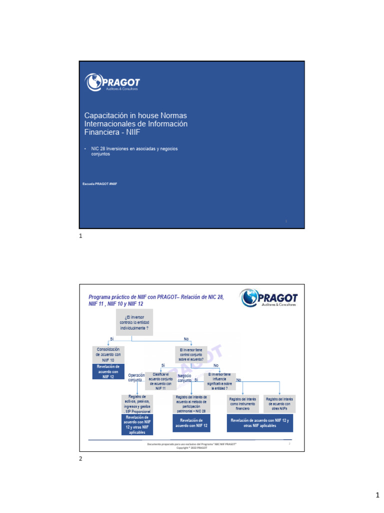 NIC 28 Inversiones en Asociadas y Negocios Conjuntos PGT | PDF | normas ...