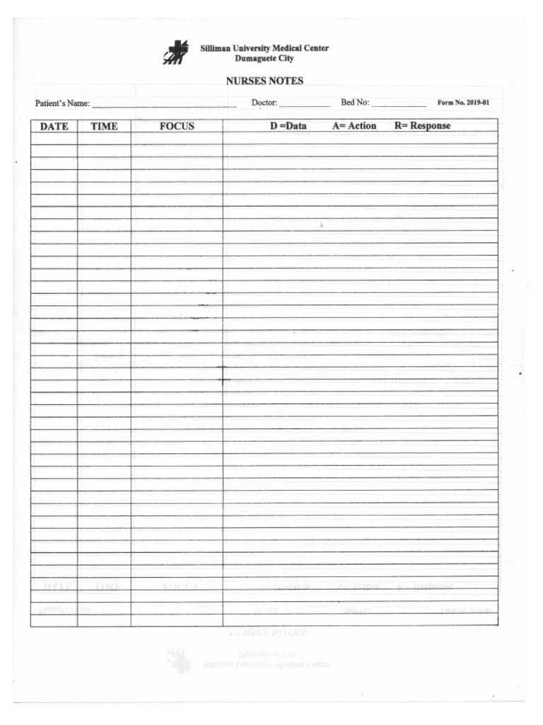 Nurses Notes | PDF