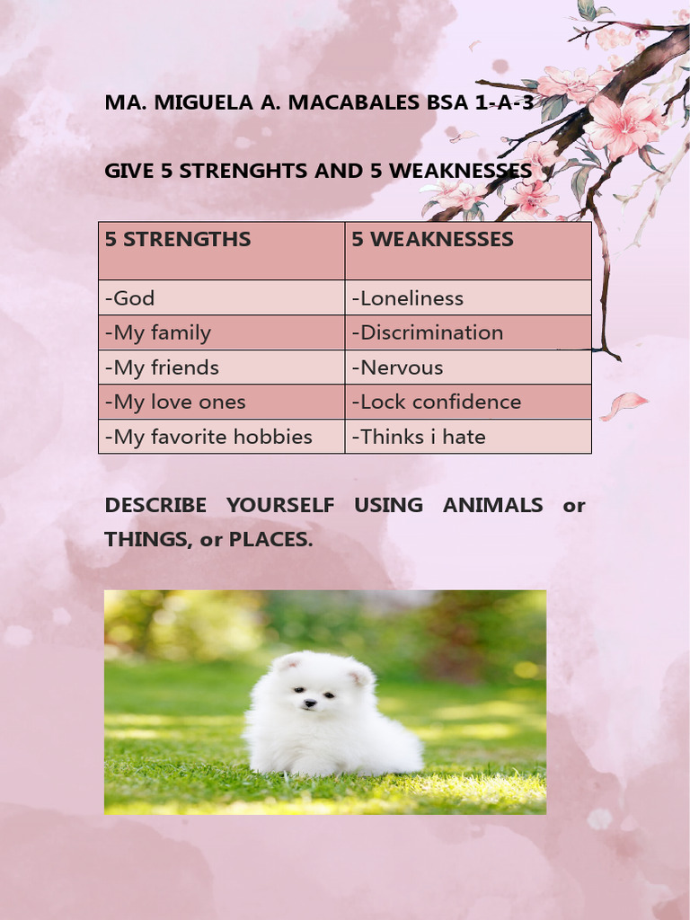 Strengths and Weaknesses Reflection | PDF