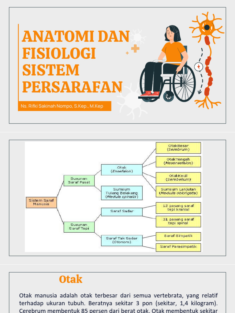 1 Anatomi Fisiologi Sistem Persyarafan 1 | PDF