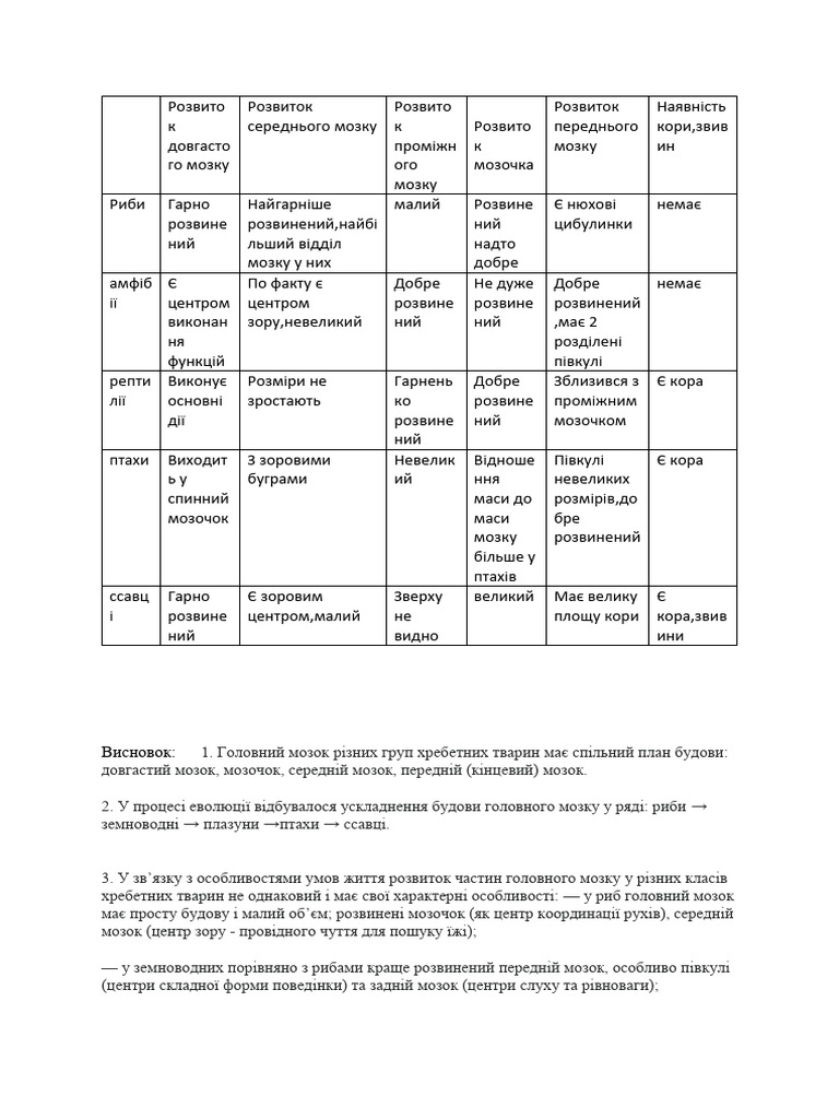 Розвиток довгастого мозку Pdf