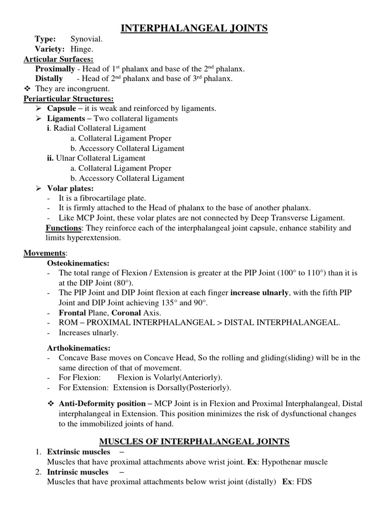 Interphalangeal Joint (Hand Complex) | PDF | Finger | Hand