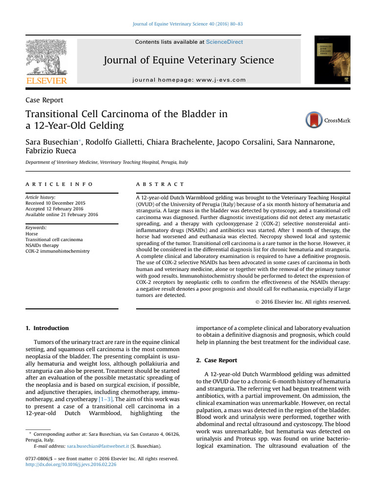 Journal of Equine Veterinary Science | PDF