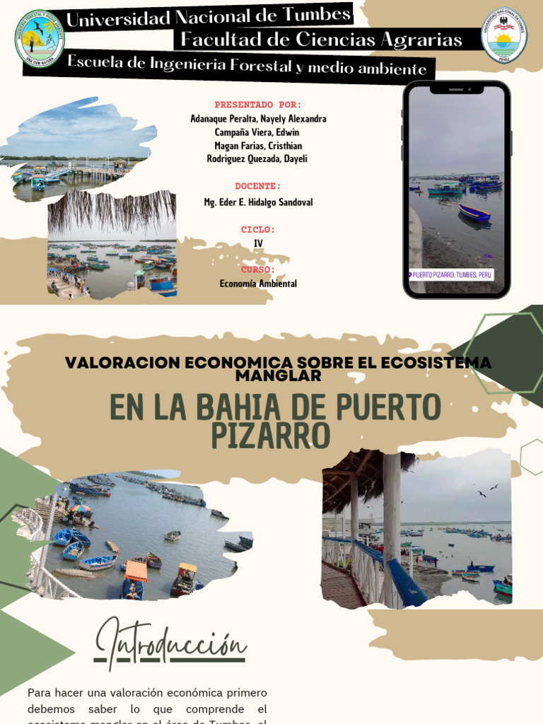 VALORACION ECONOMICA SOBRE EL ECOSISTEMA MANGLAR EN LA BAHIA DE PUERTO ...