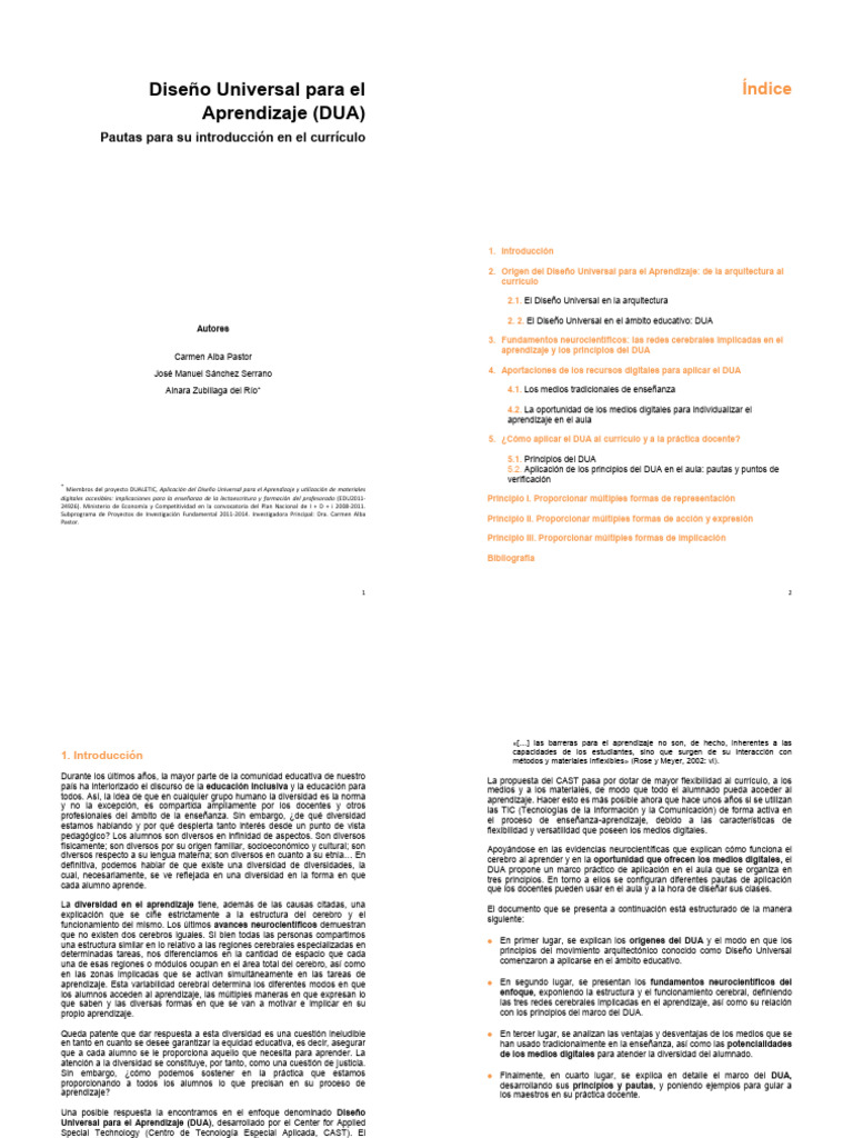 Diseño Universal para El Aprendizaje (DUA) | PDF
