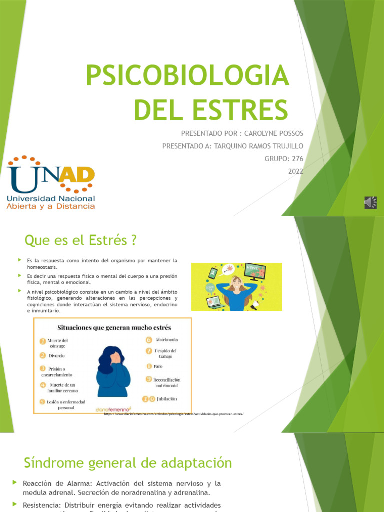 Psicobiologia Del Estres | PDF | Estrés (biología) | Ansiedad