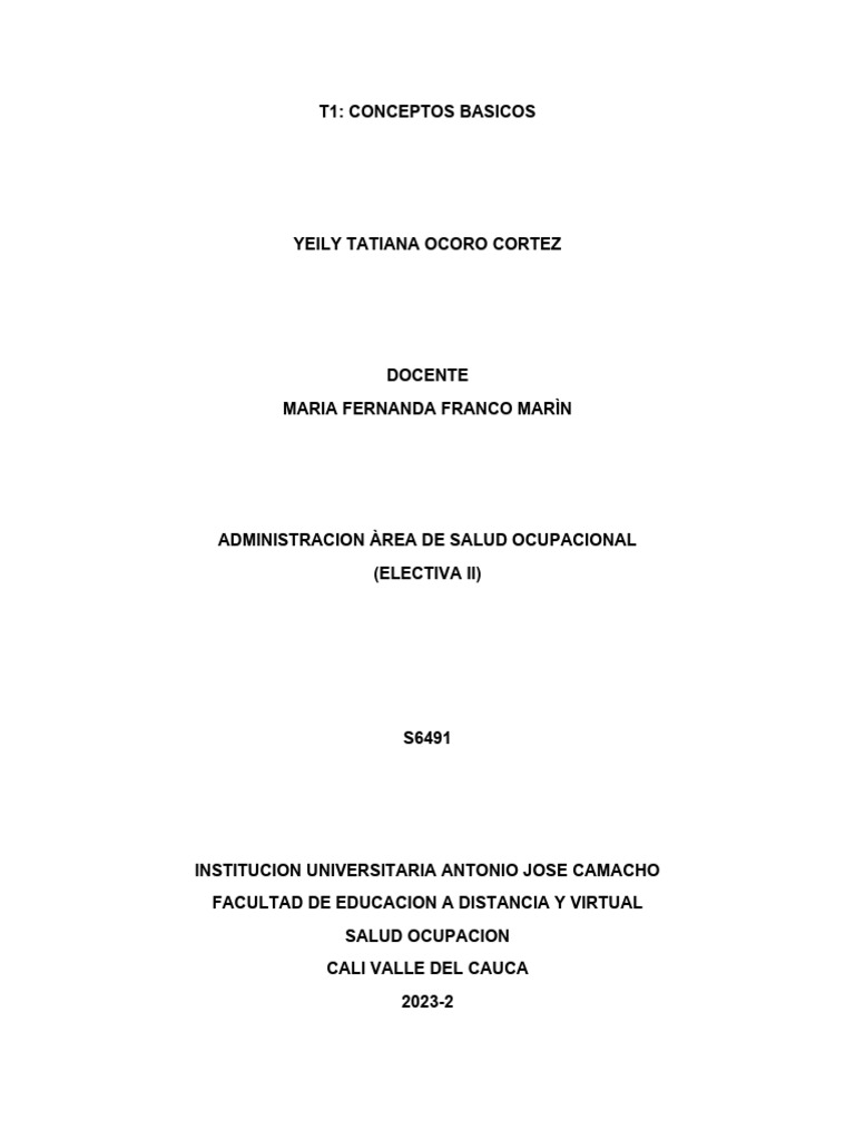 T1 Conceptos Basicos Yeily | PDF