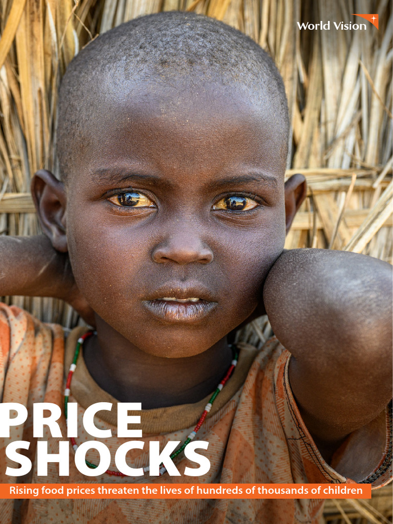 WV Price Shocks - Report 2022 Elec | PDF