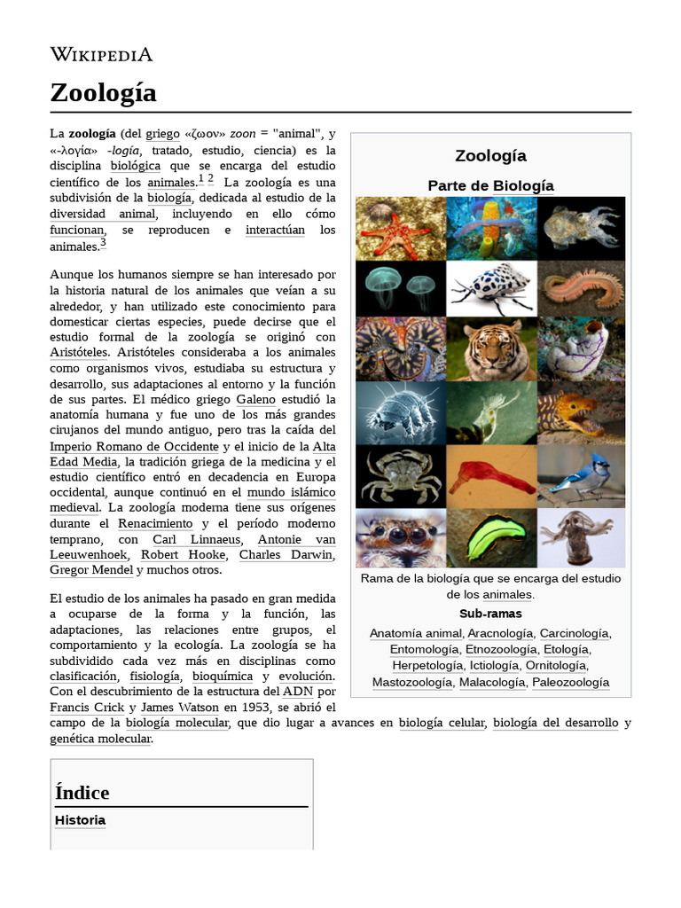 Historia y ramas de la zoología | PDF