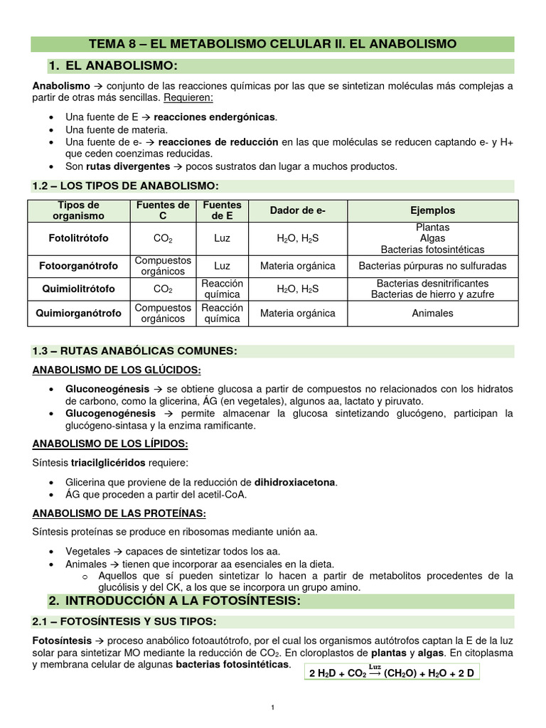 BIOLOGÍA 2ºBACH APUNTES TEMA 8 - Metabolismo Celular II. Anabolismo | PDF