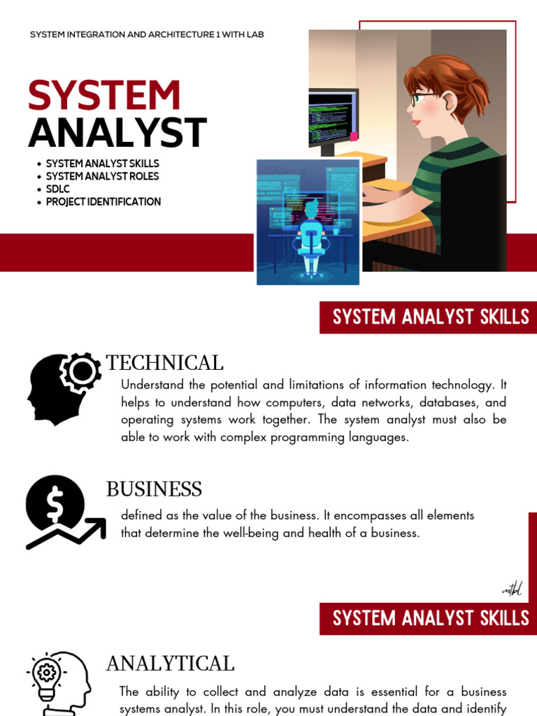 System Analyst Roles and Skills Overview | PDF