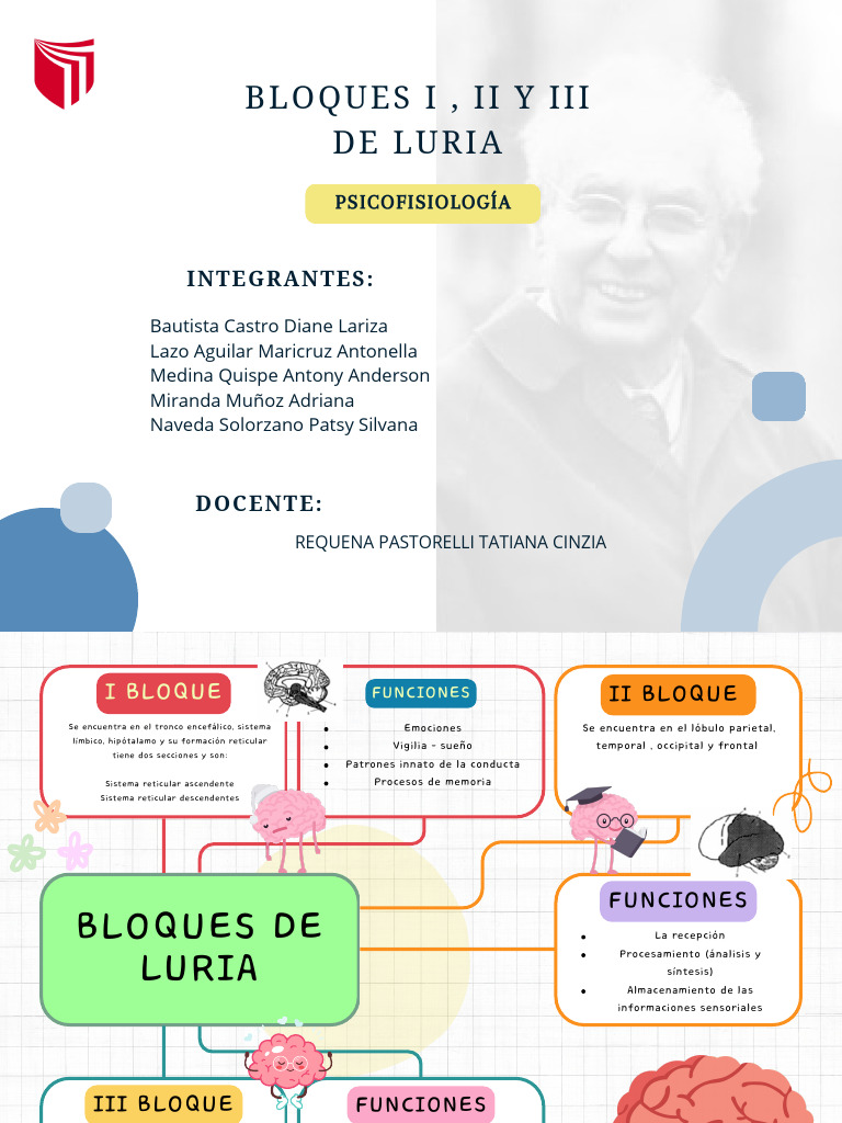 Bloques de Luria I, Ii y Iii | PDF