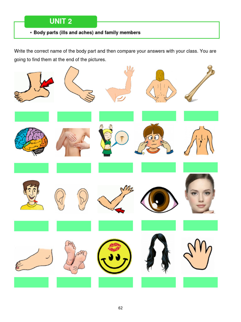 Unit 2, Class 3 (Activities) | PDF