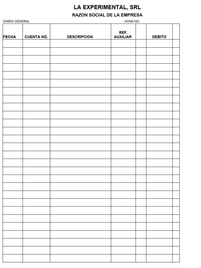 DIARIO GENERAL Y MAYORES - copia | PDF