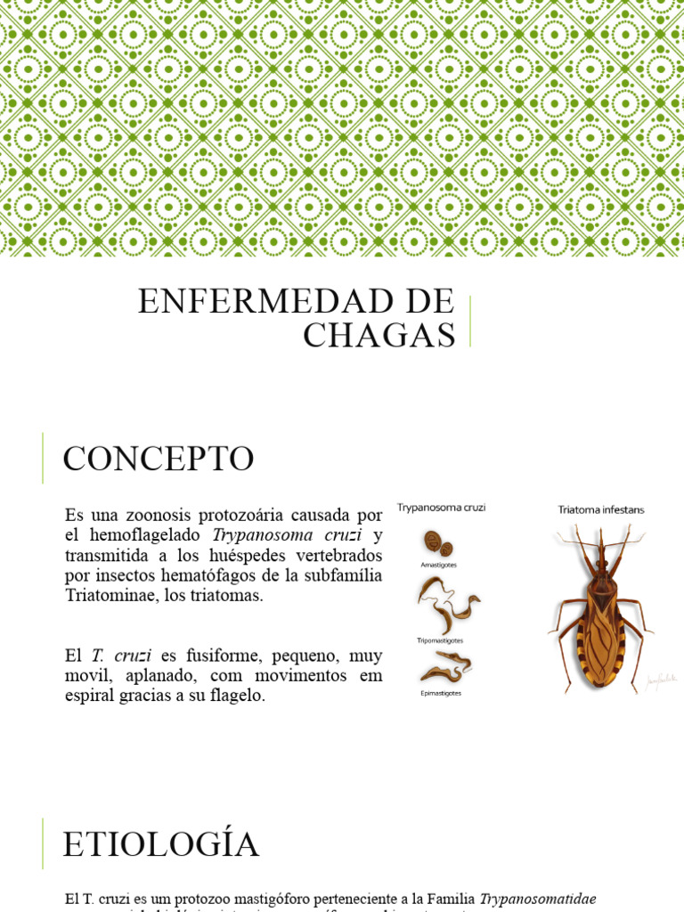 Chagoma de Inoculación y Enfermedad de Chagas | PDF