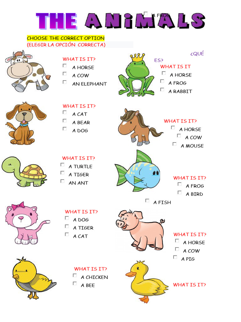 Animals Fun Activities Games - 29173 | PDF