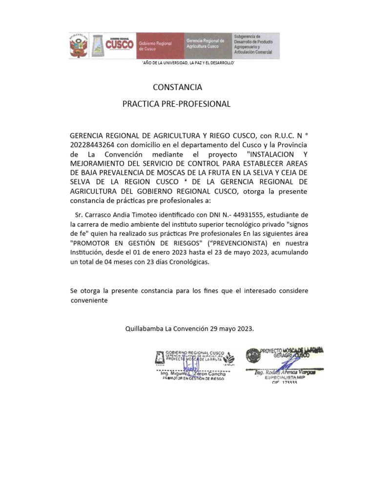 Constancia Práctica Pre Profesional | PDF