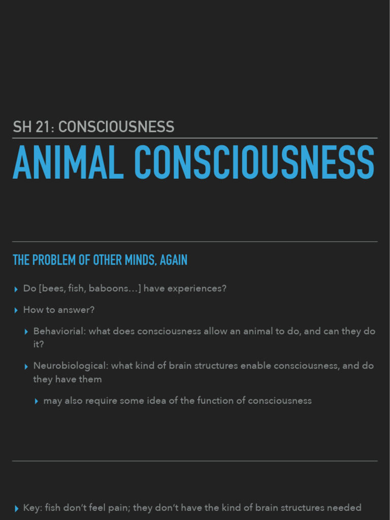 Animal Consciousness | PDF | Self-Improvement | Science & Mathematics