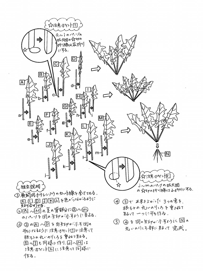 Manual 1202 | PDF