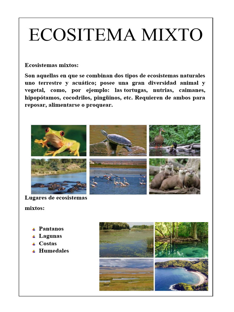 Ecosistema Mixto | PDF