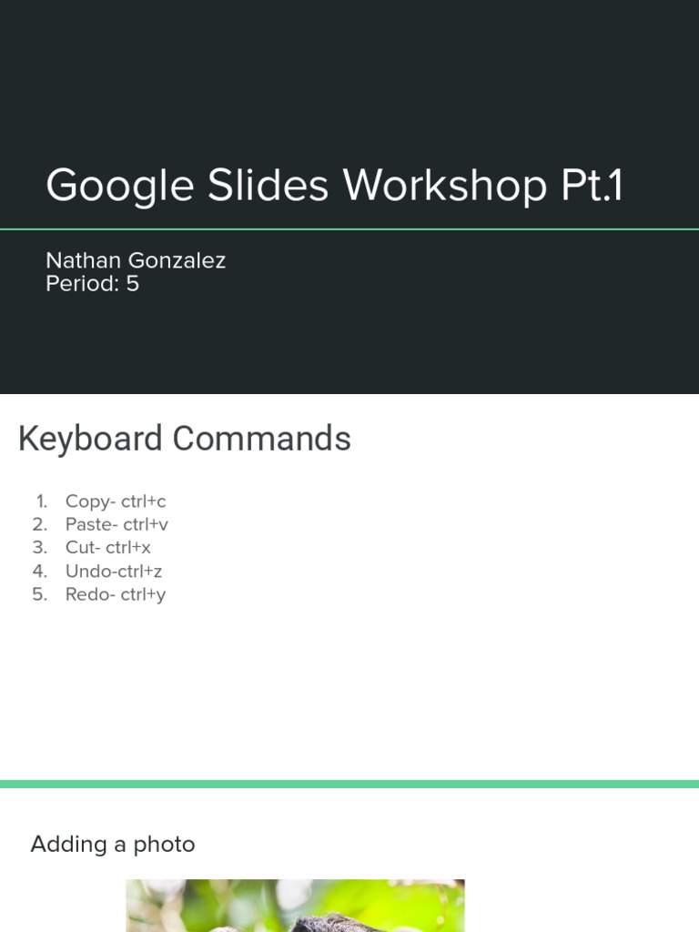 Nathan Gonzalez Google Slide Workshop | PDF