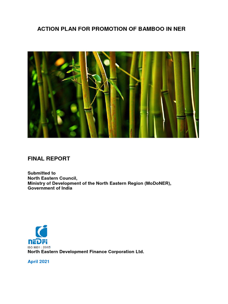 Final Report - Action Plan For Promotion of Bamboo in NER | PDF | Business | Technology ...