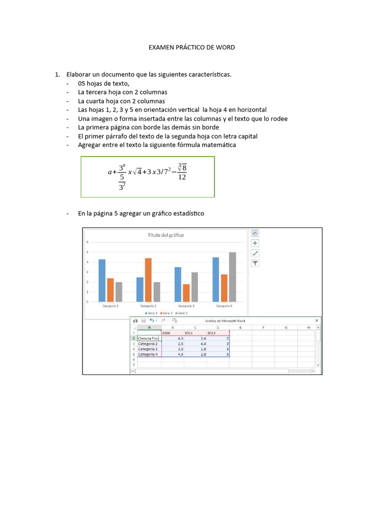 Examen Práctico de Word | PDF