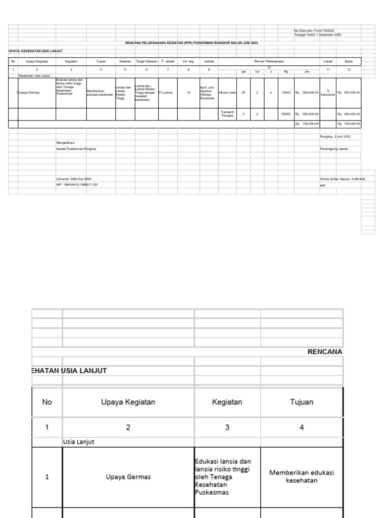 RPK Bulanan Usila | PDF