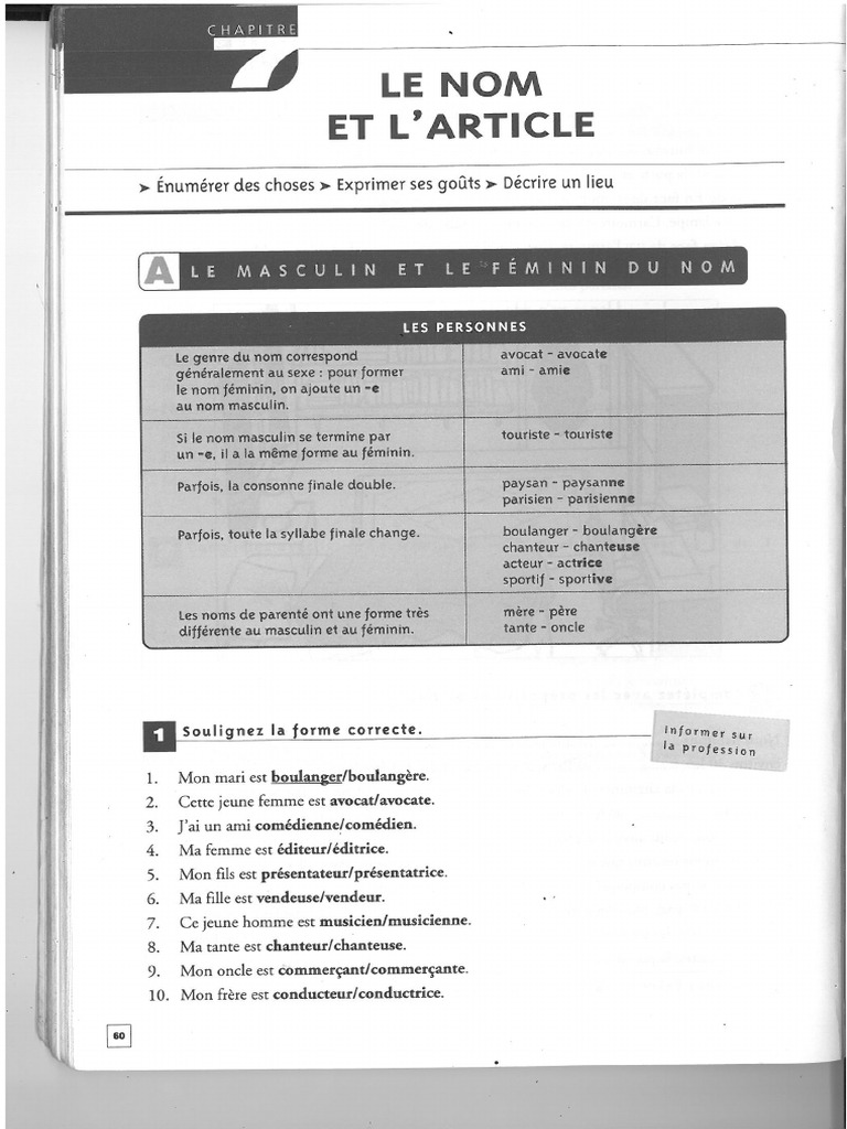 7 Le Nom Et L'article | PDF
