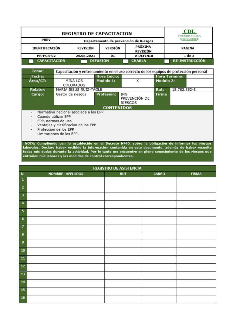 REG. CAPACITACIÓN USO DE EPP | PDF