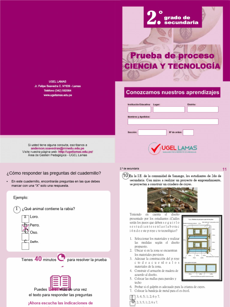 PRUEBA CYT 2DO SECUNDARIA | PDF