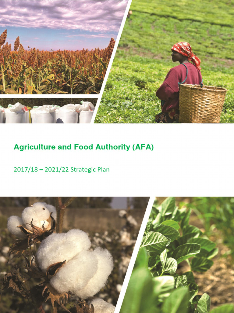 AFA Strategic Plan-Min | PDF | Strategic Planning | Governance