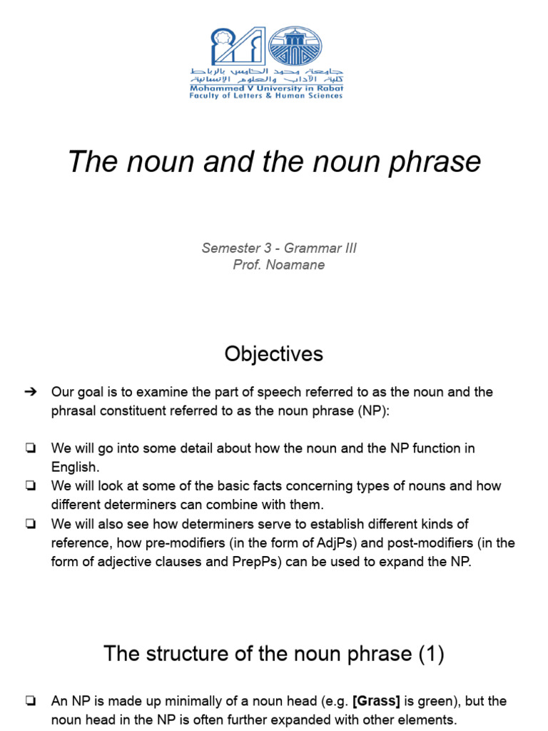 Understanding Nouns and Noun Phrases | PDF