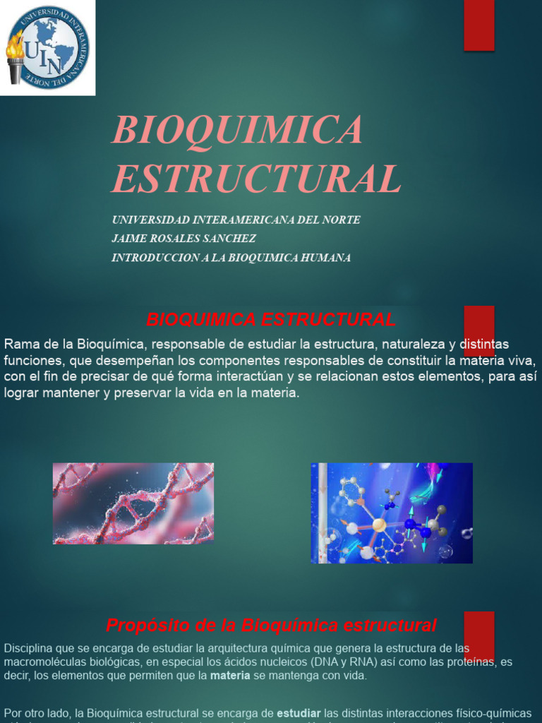 Bioquimica Estructural | PDF