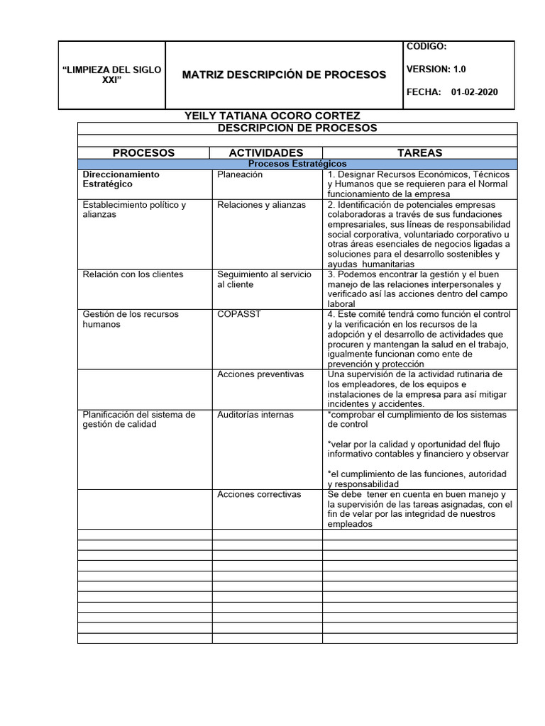 Formato Identificación de procesos | PDF | Planificación | Business