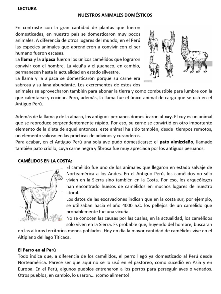 Animales en El Peru | PDF | Perú | Domesticación