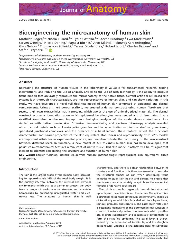 Bioengineering The Microanatomy of Human Skin | PDF | Wellness ... Bioengineering The Microanatomy of Human Skin | PDF | Wellness ...