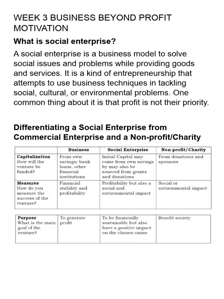 Week 3 Business Beyond Profit Motivation | PDF